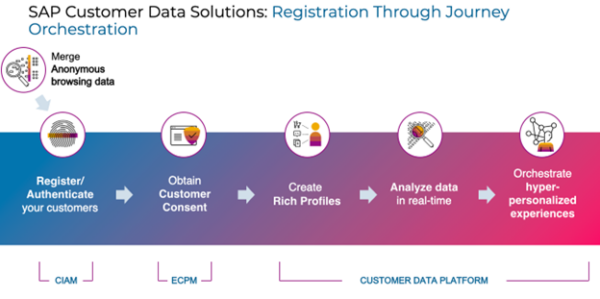 SAP Customer Data Solutions | Amista