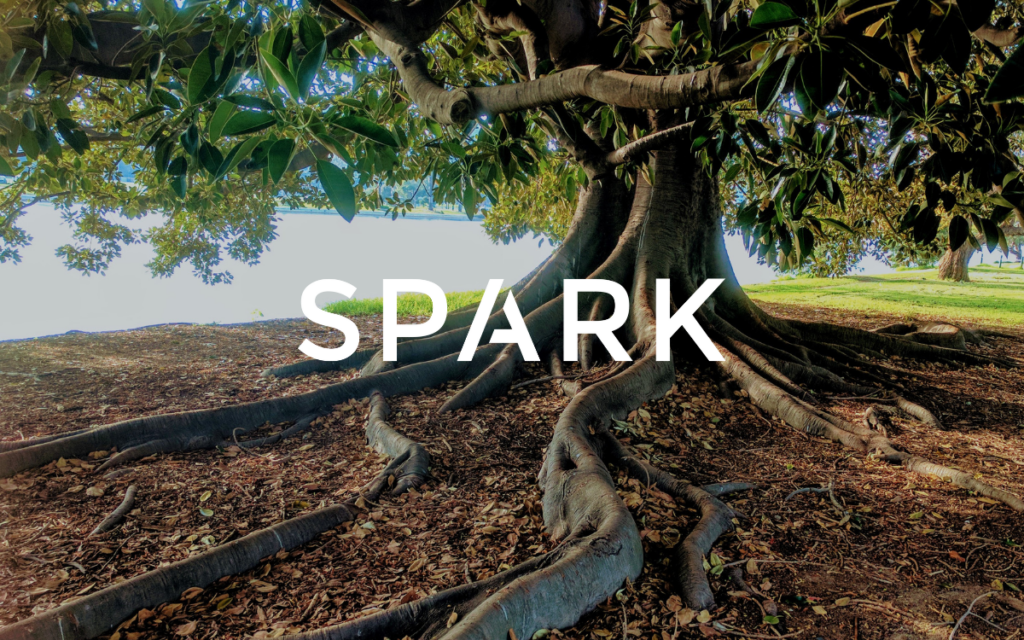 SPARK 2025 - Roots of innovation | Amista